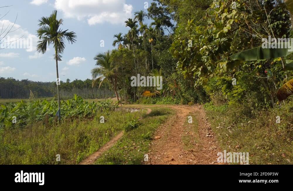 Rural scene in kerala Stock Videos & Footage - HD and 4K Video Clips ...