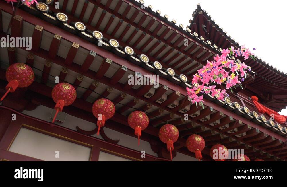 Pink temple flowers Stock Videos & Footage - HD and 4K Video Clips - Alamy