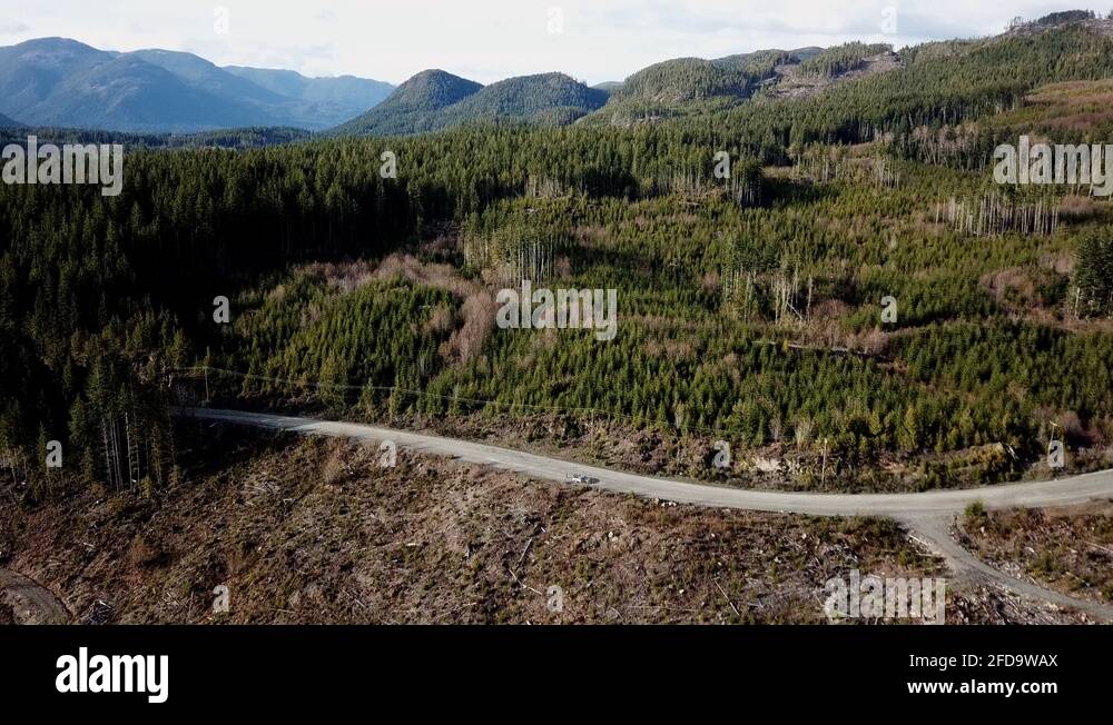 Canada forest aerial logging Stock Videos & Footage - HD and 4K Video ...