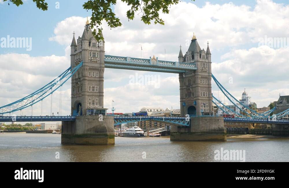 Bridge branches Stock Videos & Footage - HD and 4K Video Clips - Alamy