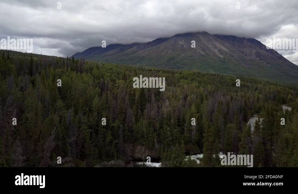 Canadian boreal forest Stock Videos & Footage - HD and 4K Video Clips ...