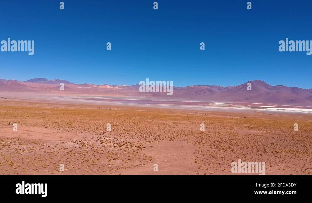 View of laguna colorada Stock Videos & Footage - HD and 4K Video Clips ...