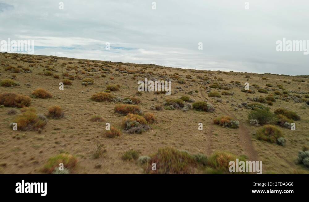 View patagonian steppe Stock Videos & Footage - HD and 4K Video Clips ...