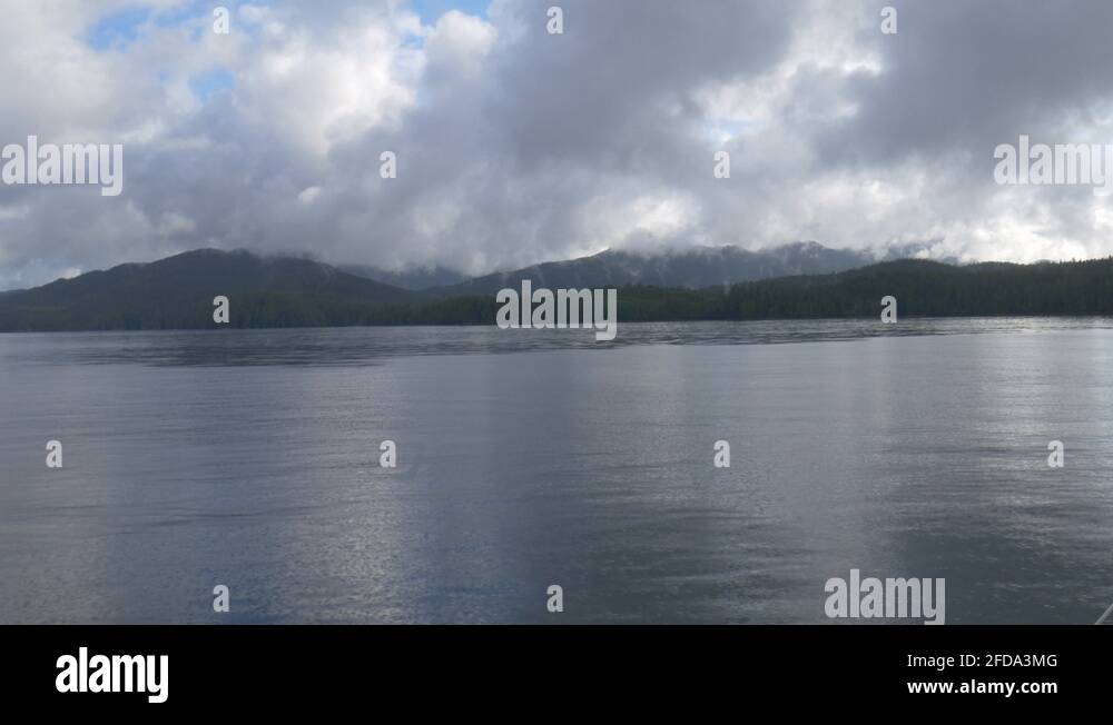 Temperate seas Stock Videos & Footage - HD and 4K Video Clips - Alamy