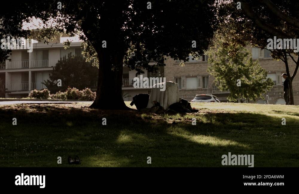 Homeless man walking in park Stock Videos & Footage - HD and 4K Video ...