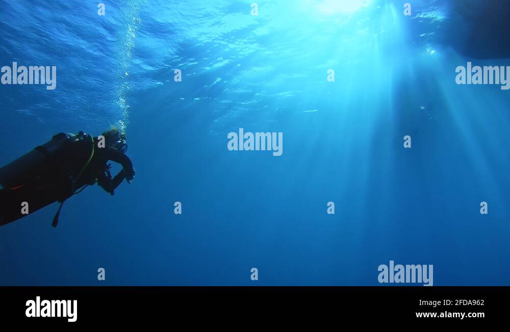 Diver computer Stock Videos & Footage - HD and 4K Video Clips - Alamy