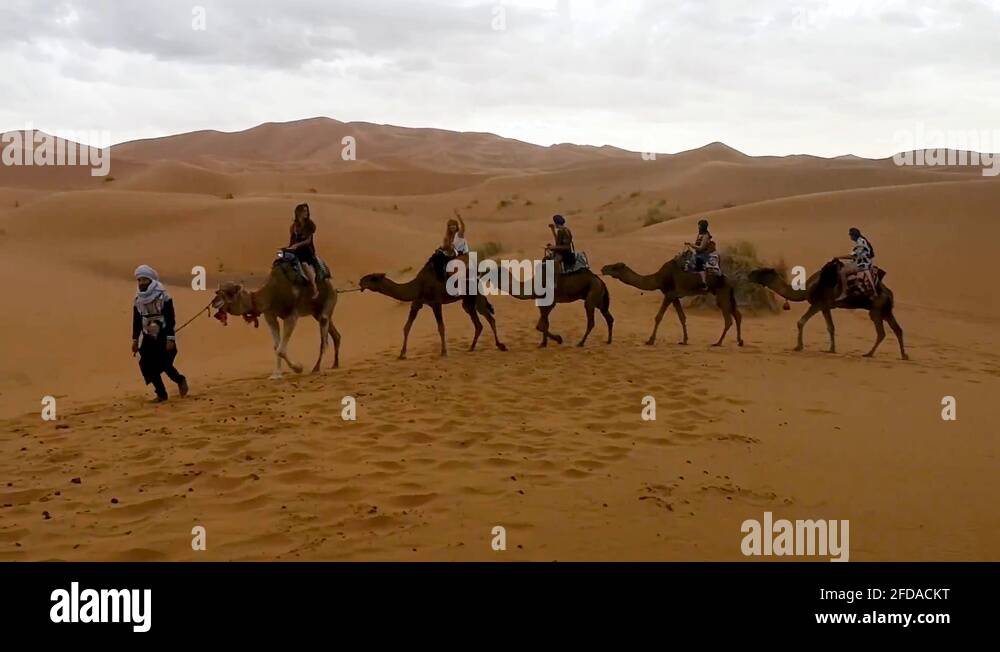 Sahara desertification Stock Videos & Footage - HD and 4K Video Clips ...