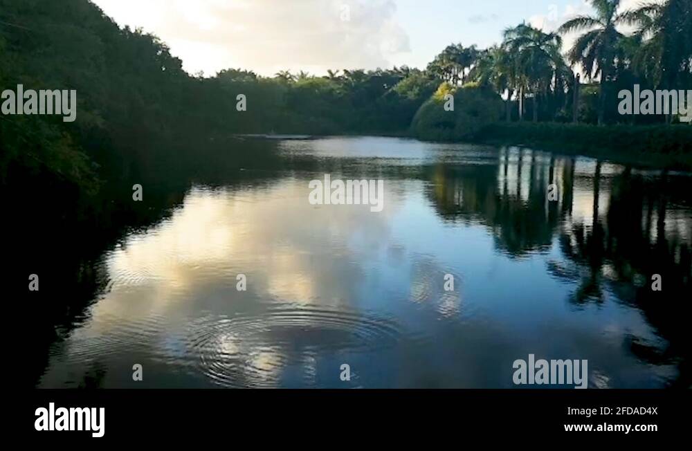 Amazon river life Stock Videos & Footage - HD and 4K Video Clips - Alamy