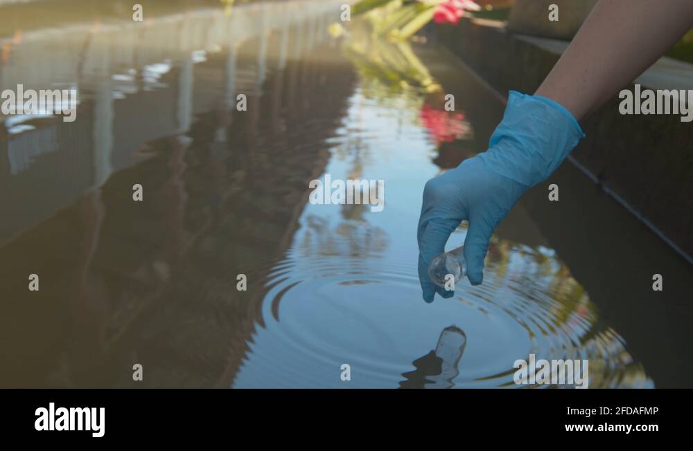 Water pollution indicator Stock Videos & Footage - HD and 4K Video ...