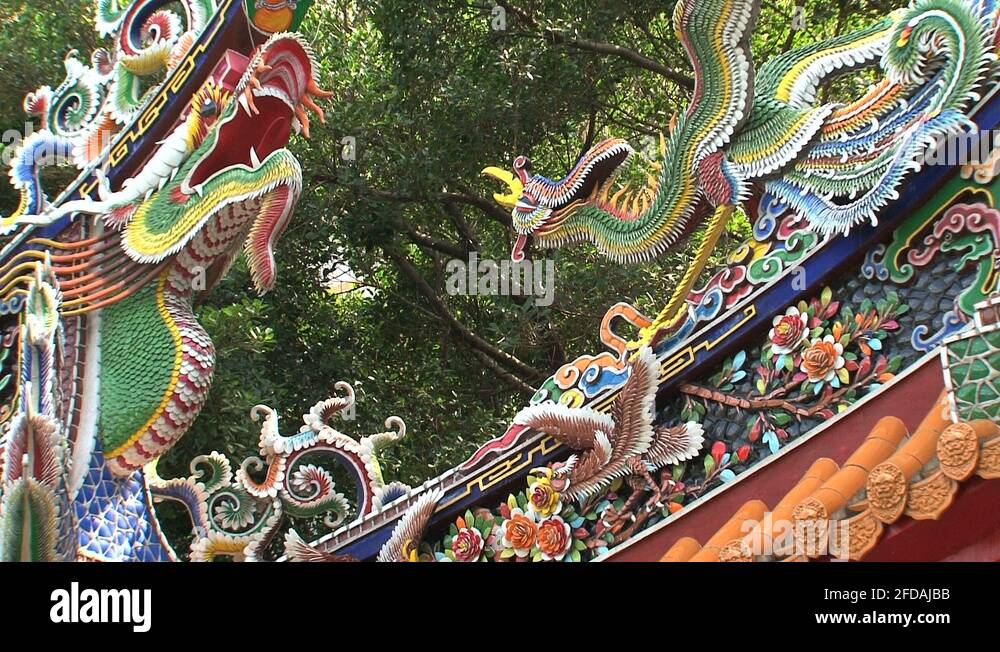 Dragon bird Stock Videos & Footage - HD and 4K Video Clips - Alamy