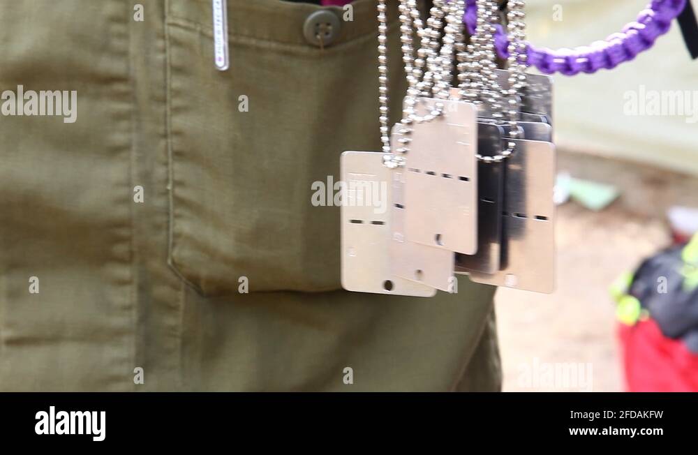 Dog tags with name Stock Videos & Footage - HD and 4K Video Clips - Alamy