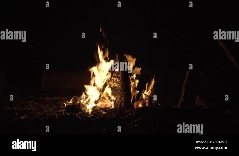 A Bonfire at camping night time in the woods Stock Video Footage - Alamy