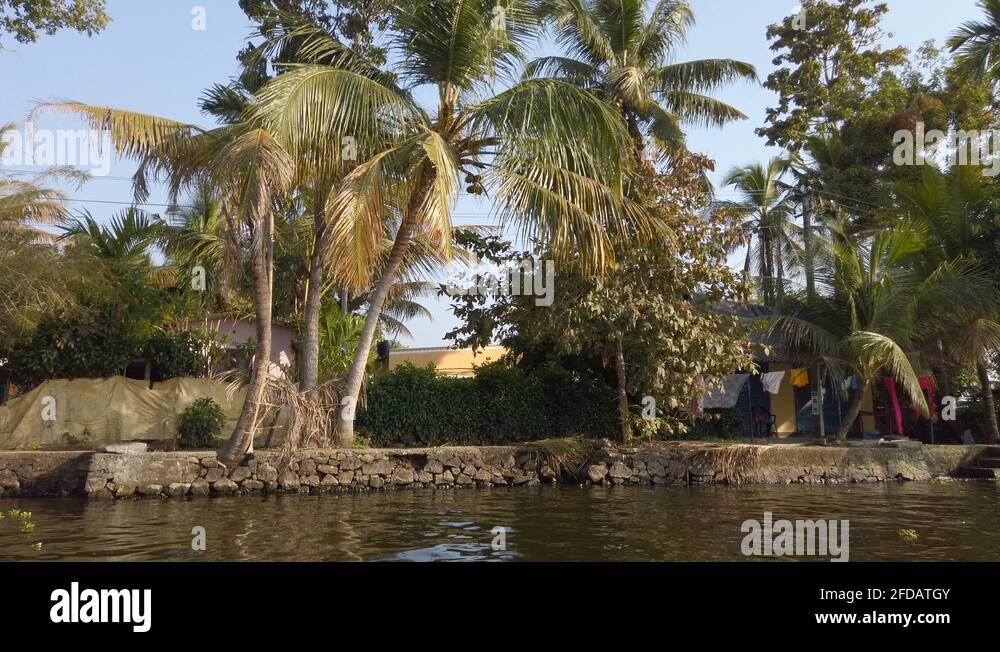 The Kerala backwaters, India Stock Video Footage - Alamy