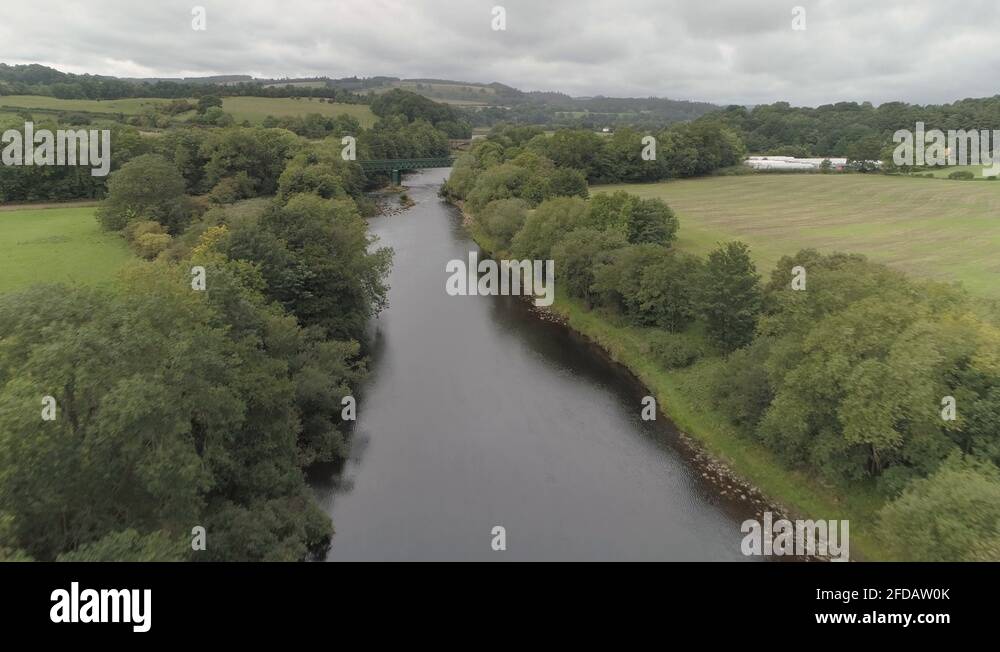 Trent forest Stock Videos & Footage - HD and 4K Video Clips - Alamy