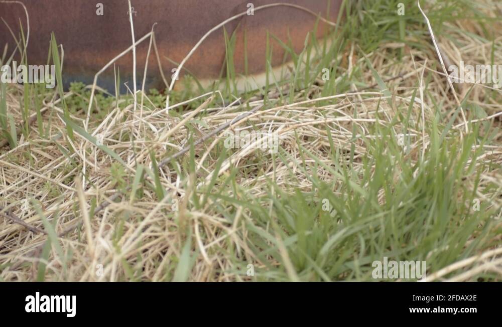 Eaten with rust Stock Videos & Footage - HD and 4K Video Clips - Alamy