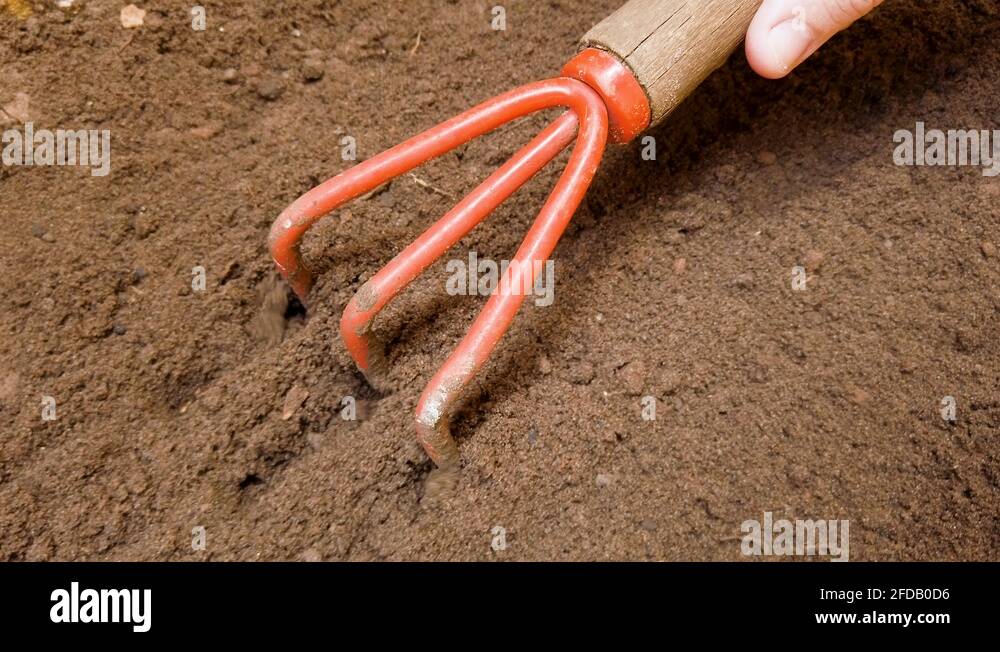 Cottage rake Stock Videos & Footage - HD and 4K Video Clips - Alamy