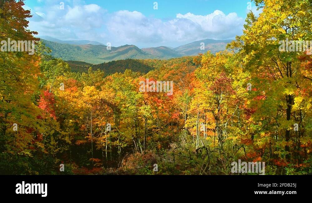 Beautiful pretty scene scenery Stock Videos & Footage - HD and 4K Video ...