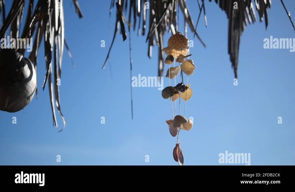 Hanging shells Stock Videos & Footage - HD and 4K Video Clips - Alamy