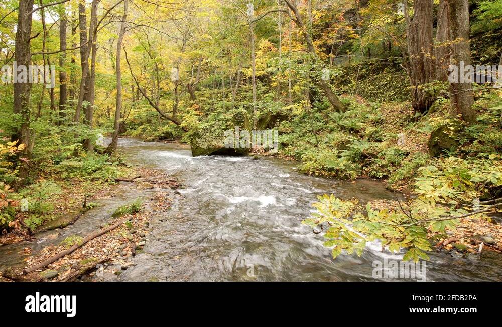 Oirase gorge Stock Videos & Footage - HD and 4K Video Clips - Alamy