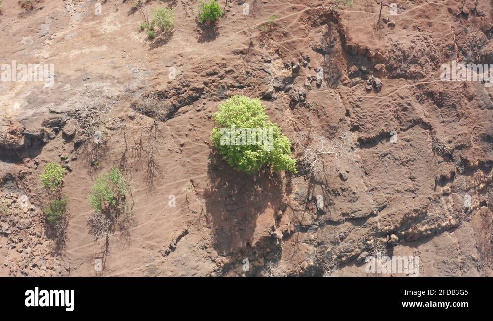 Loss of vegetation Stock Videos & Footage - HD and 4K Video Clips - Alamy