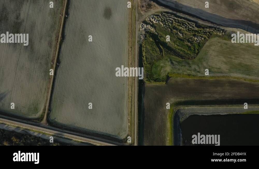 Bird POV looking down on fields Stock Video Footage - Alamy