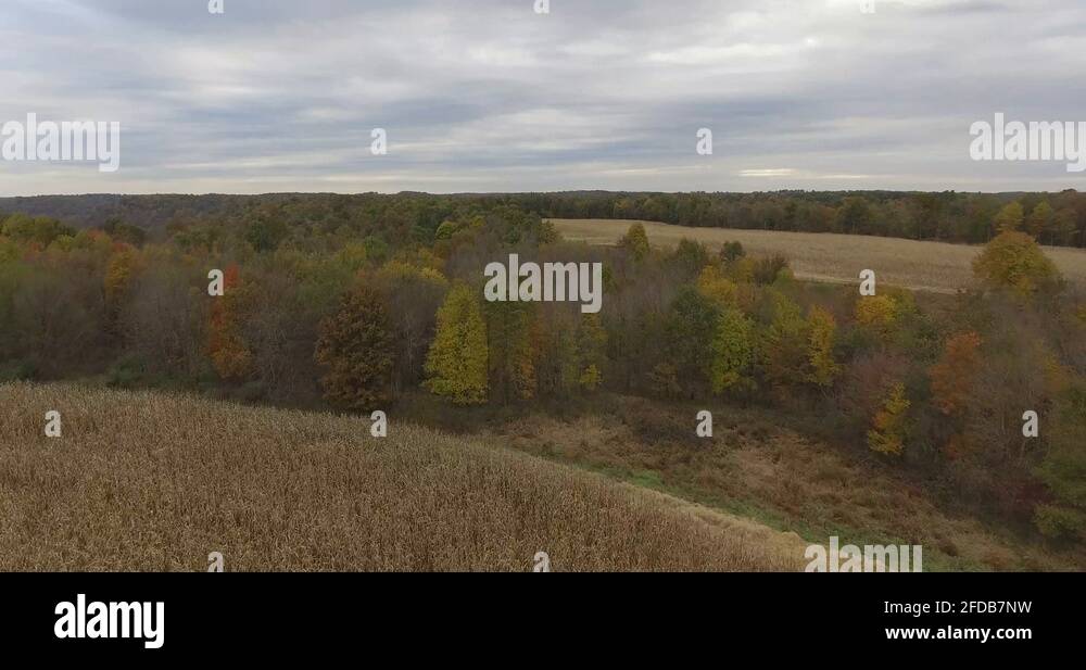 Beautiful fall corn field Stock Videos & Footage - HD and 4K Video ...