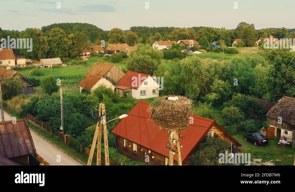 Stork socket Stock Videos & Footage - HD and 4K Video Clips - Alamy
