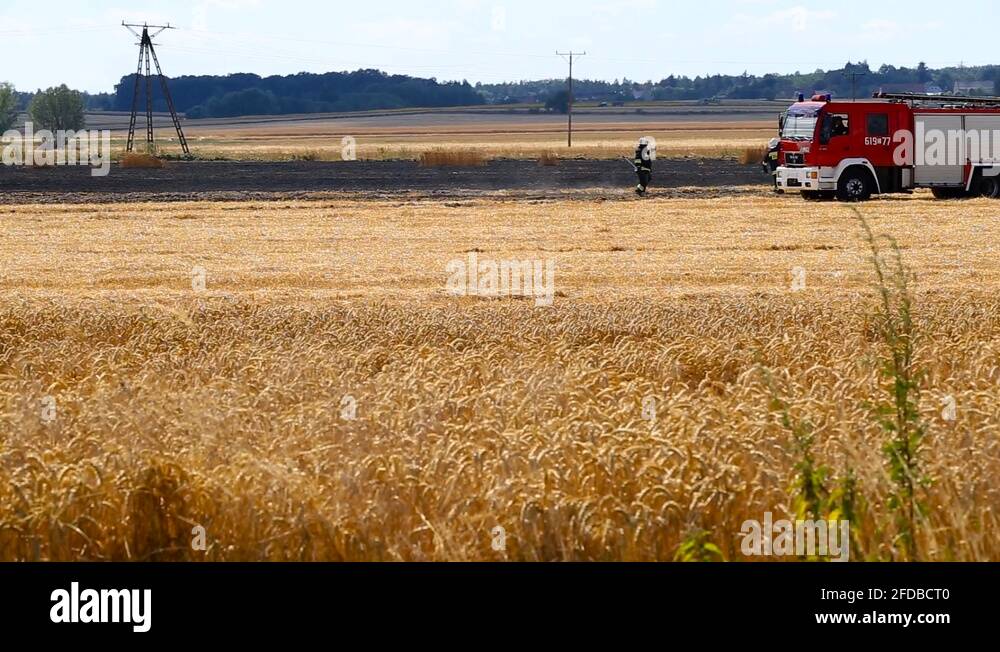 Tractors harvesting after a wildfire being extinguished by firefighters ...