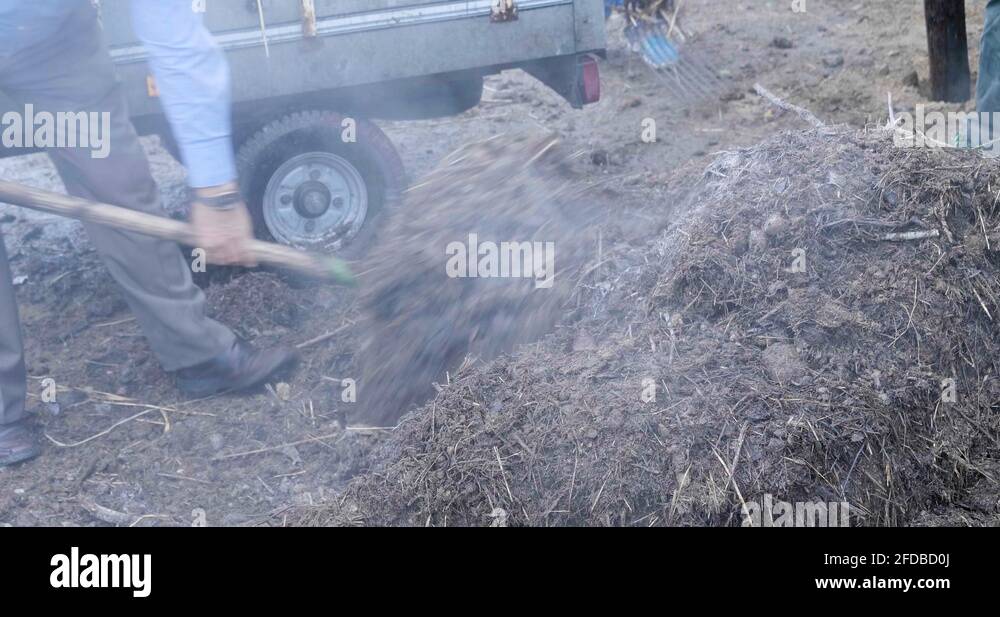 Exploitation of labour Stock Videos & Footage - HD and 4K Video Clips ...