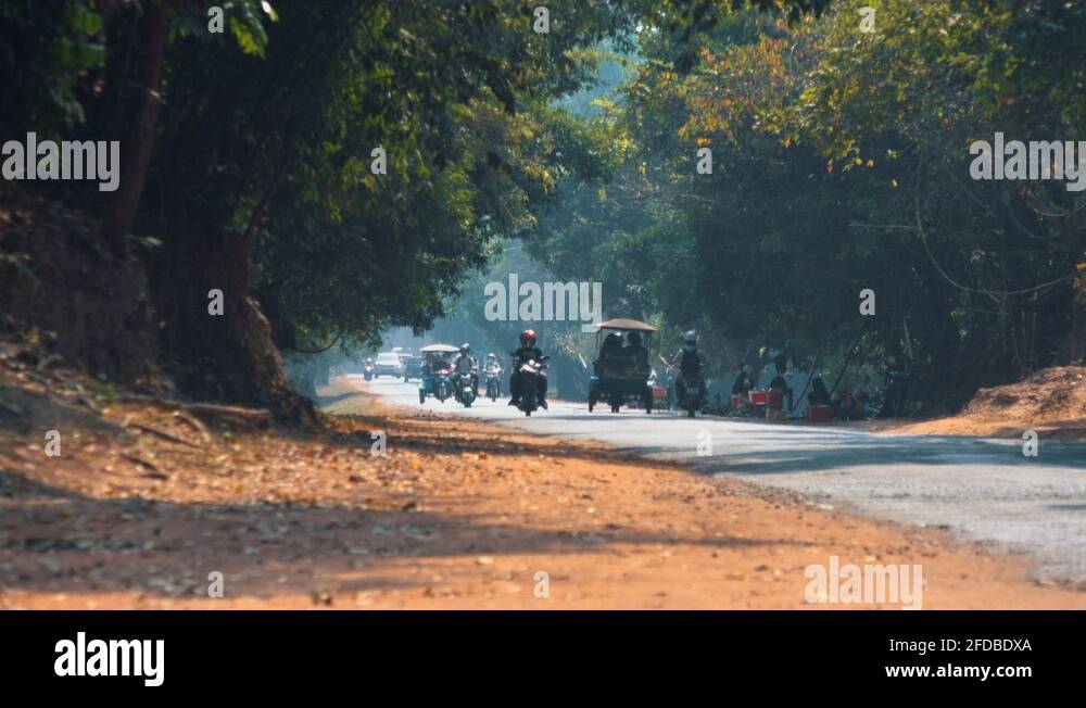 Busy Countryside Road With Tress on Each Side and Small Roadside Stalls ...
