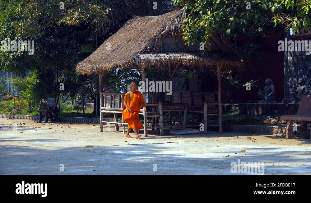 Monk plant Stock Videos & Footage - HD and 4K Video Clips - Alamy