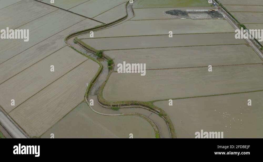 Curved rice paddy Stock Videos & Footage - HD and 4K Video Clips - Alamy