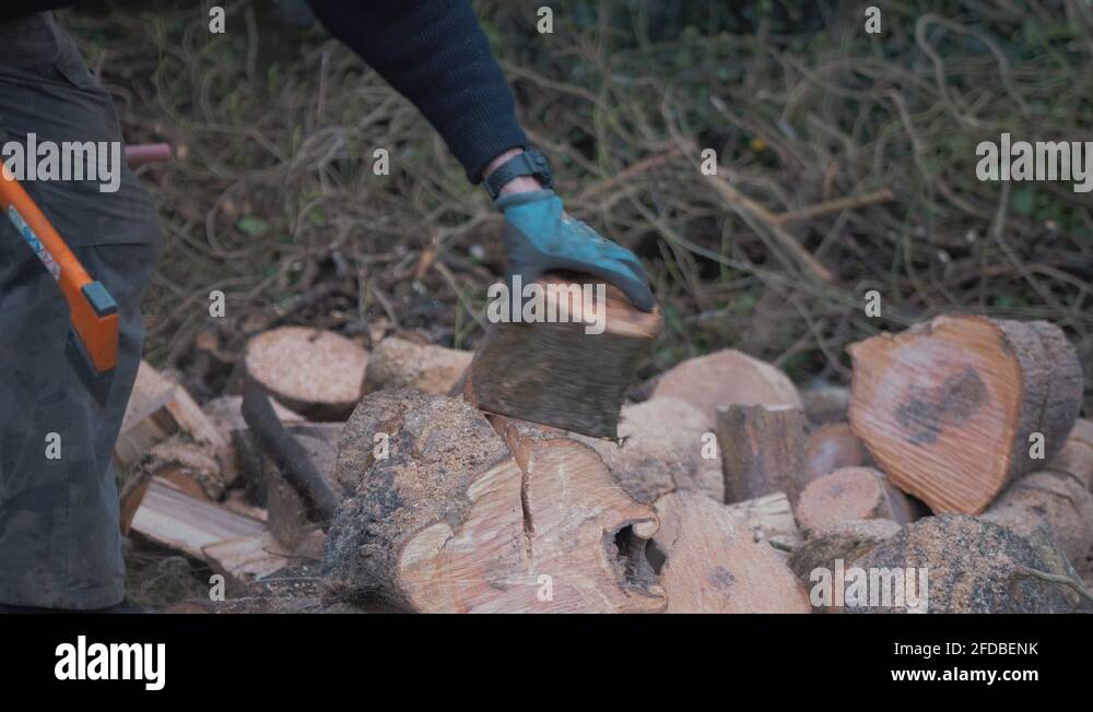 Chopping logs in nature 4K Stock Video Footage - Alamy