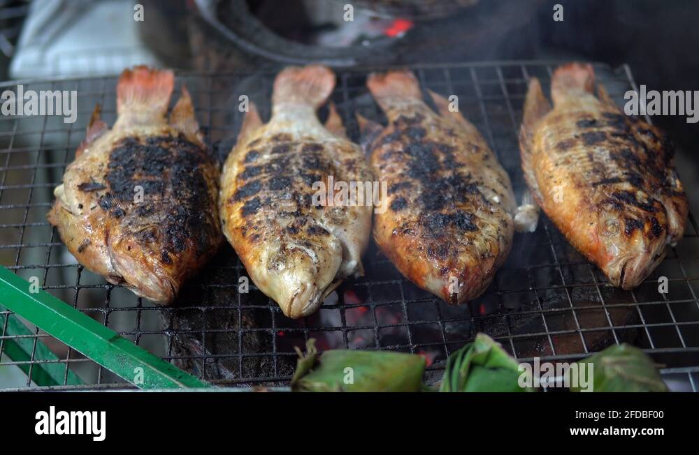 Whole fish cooked Stock Videos & Footage - HD and 4K Video Clips - Alamy