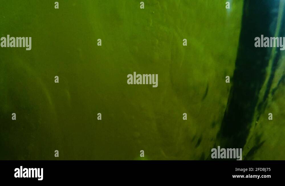 Laboratory experiment of green liquid ooze in a container bubbling ...