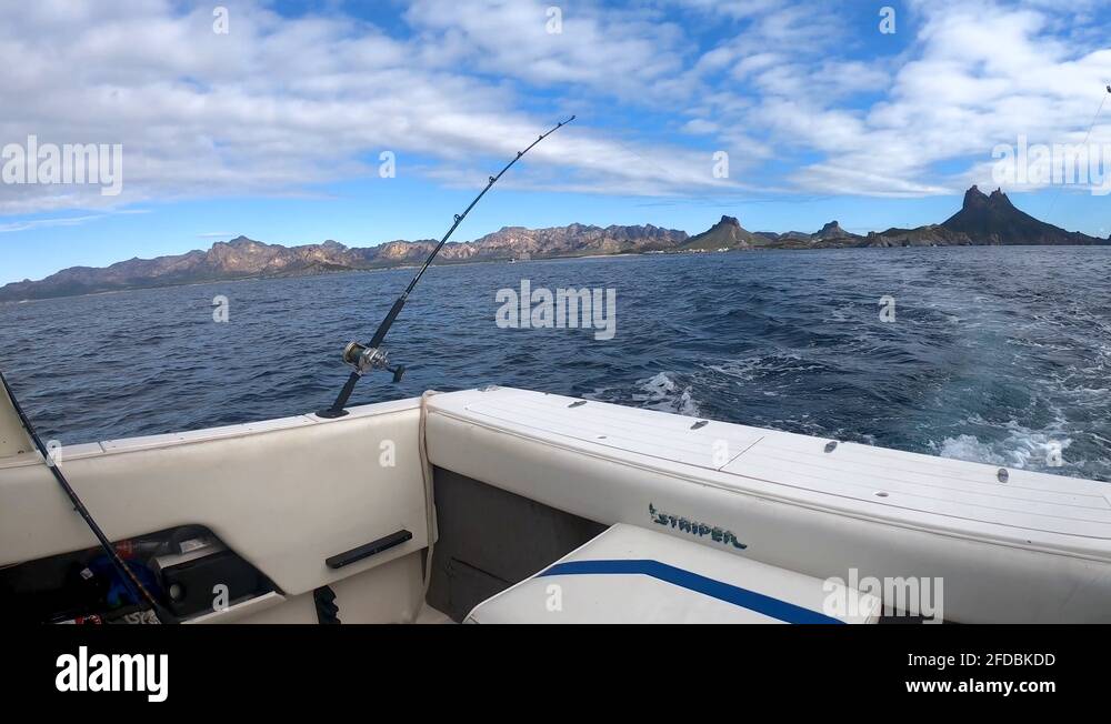 Deep sea fishing in the Sea of Cortez with a Short-line trolling rig ...