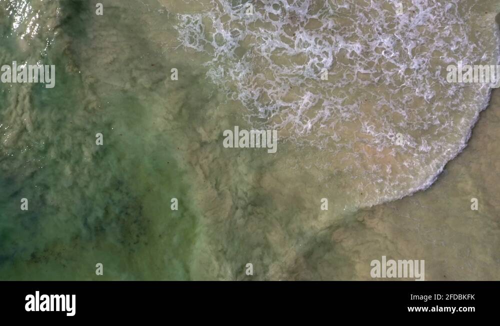 Deep sea sediment Stock Videos & Footage - HD and 4K Video Clips - Alamy