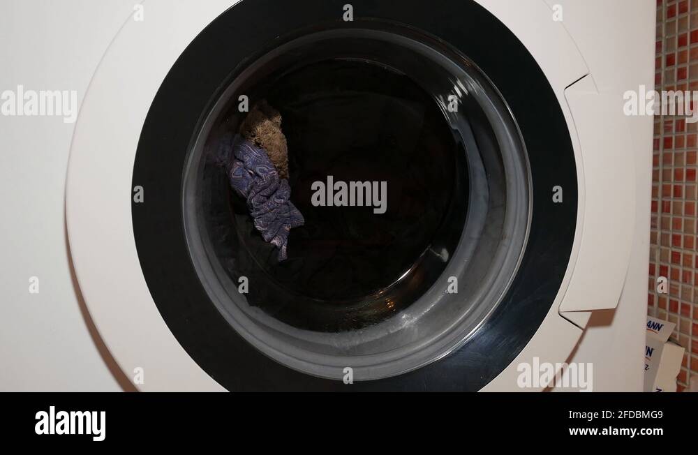 Cylinder Spinning of washing machine. Loaded Washing Machine. Concept ...