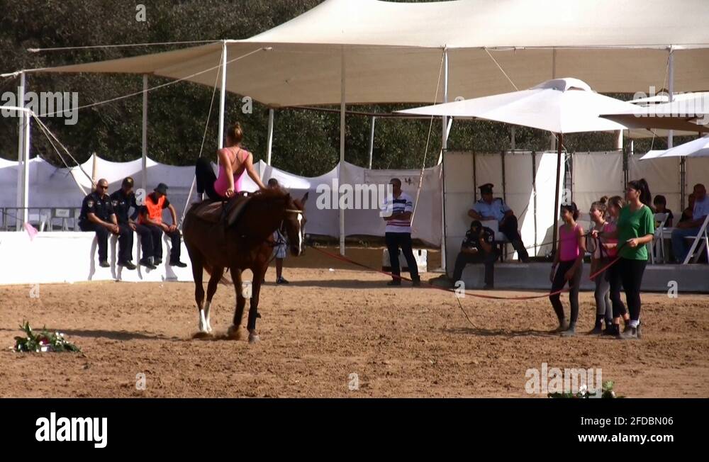 Horse vaulting Stock Videos & Footage - HD and 4K Video Clips - Alamy