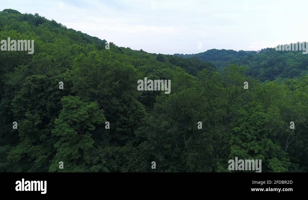 Allegheny mountains Stock Videos & Footage - HD and 4K Video Clips - Alamy