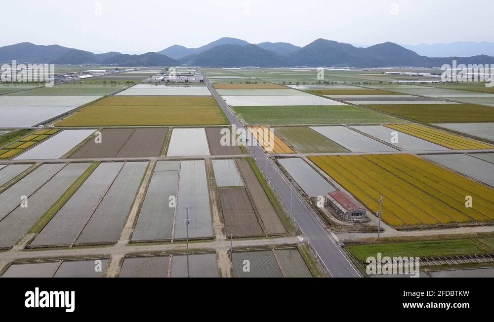 Expanse of rice fields, paddy fields, in Japan; layered mountains in ...