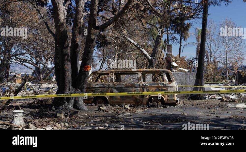 Vw van bus Stock Videos & Footage - HD and 4K Video Clips - Alamy