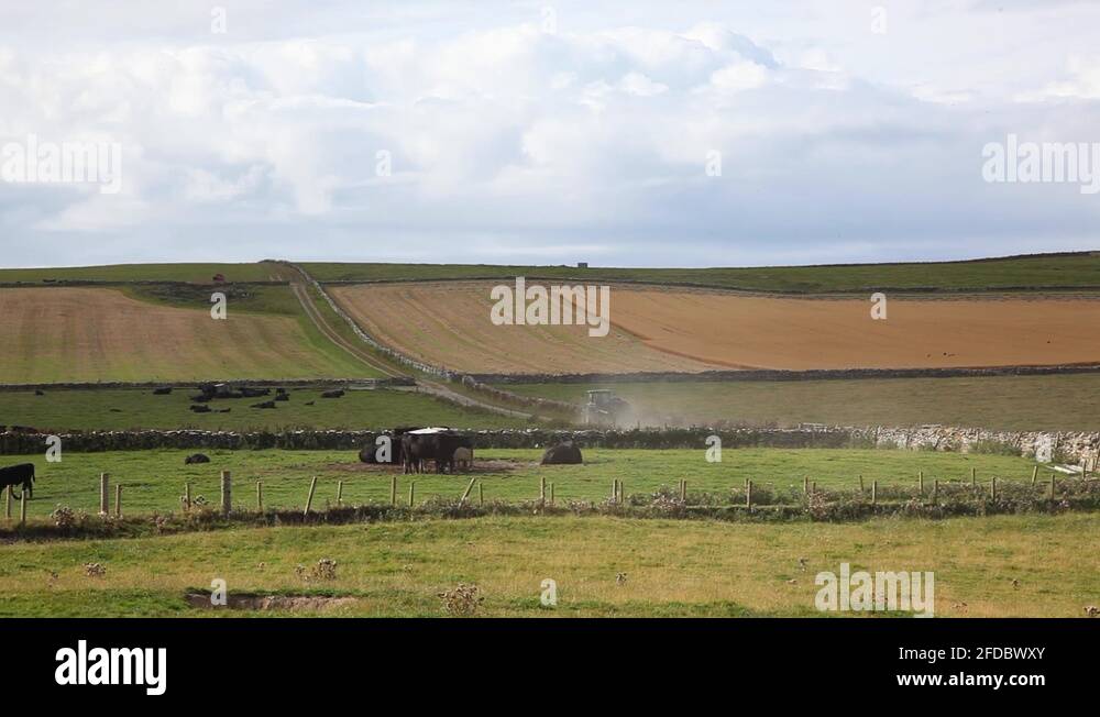 Scotland orkney islands mainland orkney Stock Videos & Footage - HD and ...