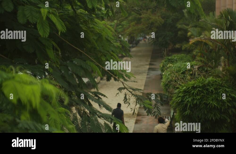 Pathway footpath Stock Videos & Footage - HD and 4K Video Clips - Alamy