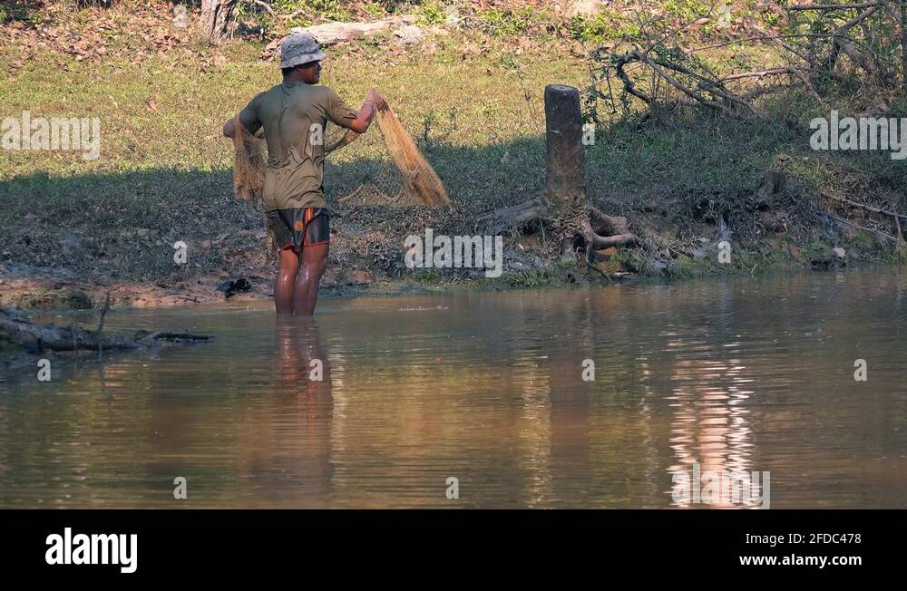 Fisherman fishing casting net shore Stock Videos & Footage - HD and 4K ...
