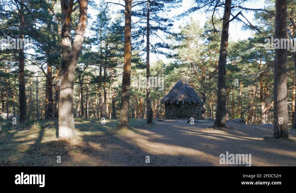 Conical stone roof Stock Videos & Footage - HD and 4K Video Clips - Alamy