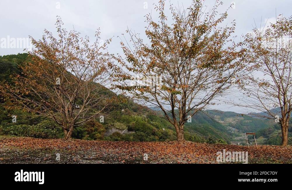Shikoku sun Stock Videos & Footage - HD and 4K Video Clips - Alamy