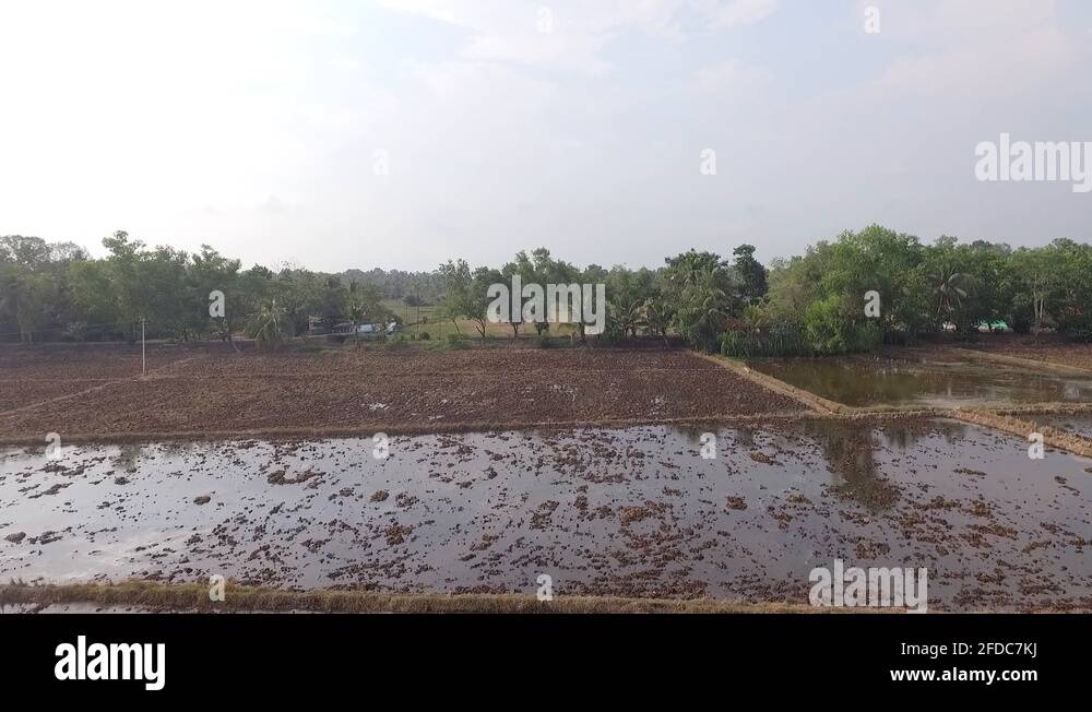 Water filled rice fields Stock Videos & Footage - HD and 4K Video Clips ...