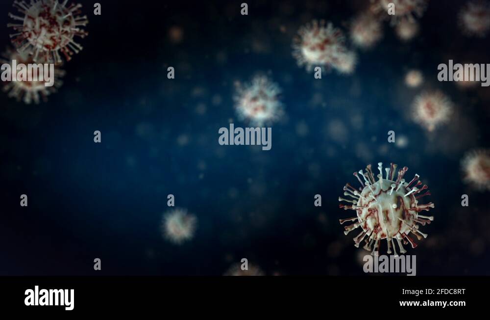 Germ layers Stock Videos & Footage - HD and 4K Video Clips - Alamy