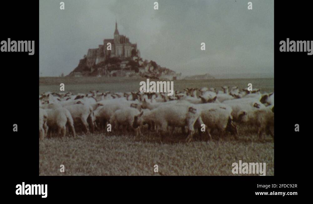 Medieval sheep Stock Videos & Footage - HD and 4K Video Clips - Alamy